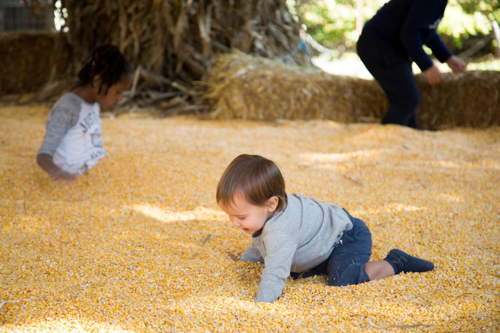 8 family-friendly things to do in Chicago this fall | Choose Chicago