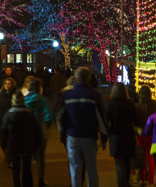 Brookfield Zoo/Chicago Zoological Society | Choose Chicago