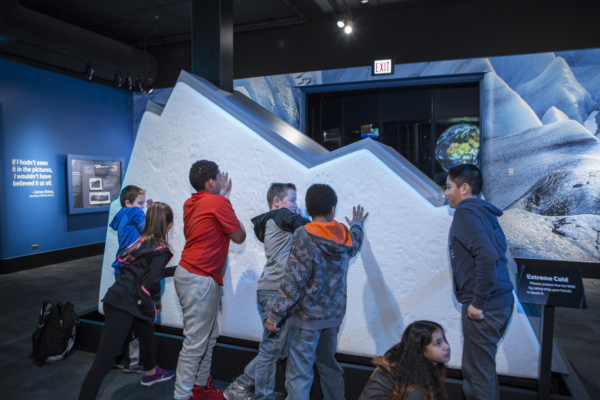 Museum of Science & Industry | Find Top Chicago Attractions