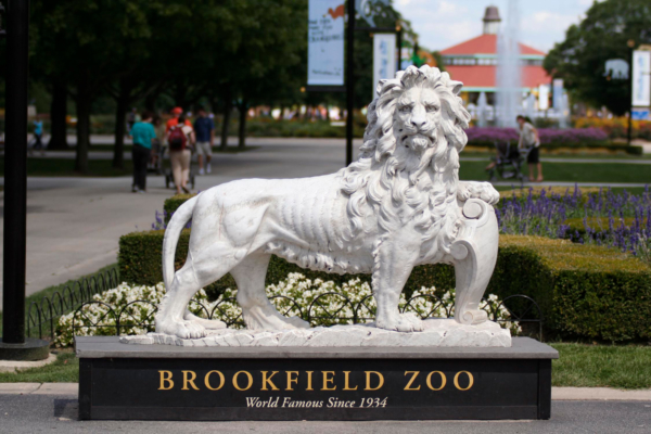 Chicago Zoos: Visit Lincoln Park & Brookfield Zoos | Choose Chicago