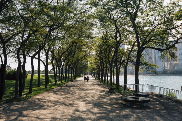 Chicago's Lakefront Trail | Top Things to Do and See
