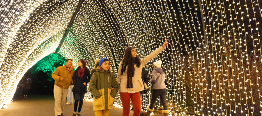 Best Spots for Christmas Lights in Chicago | Holiday Light Shows & Events