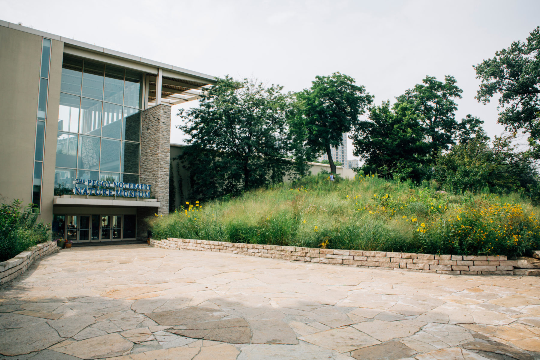 Free Museum Days in Chicago 2025/2026 | Free Admission to Chicago Museums