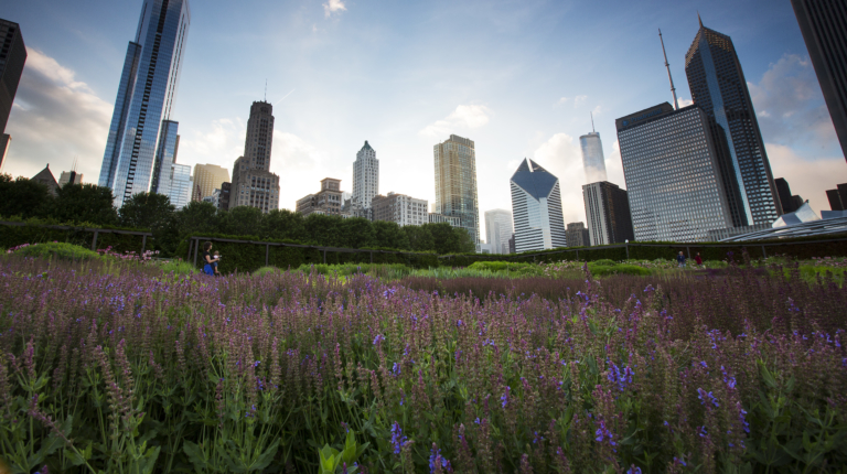 Chicago’s Millennium Park | A Guide to the Campus