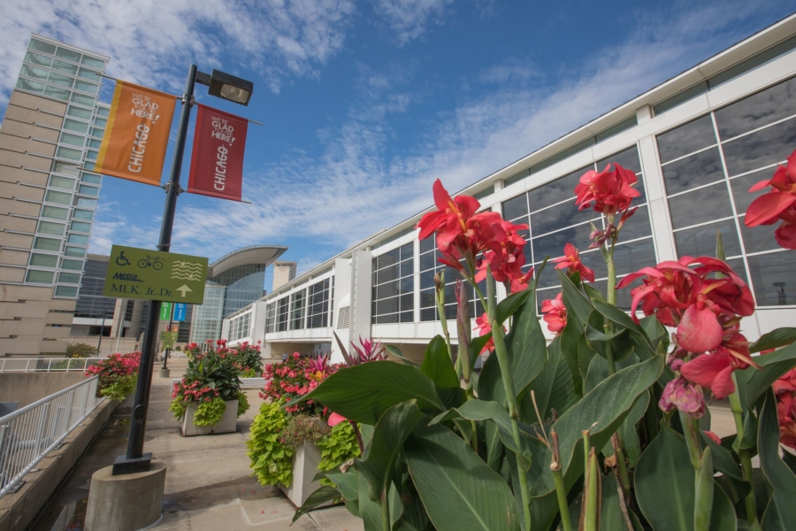 Explore Chicago's Collection at McCormick Square | Choose Chicago