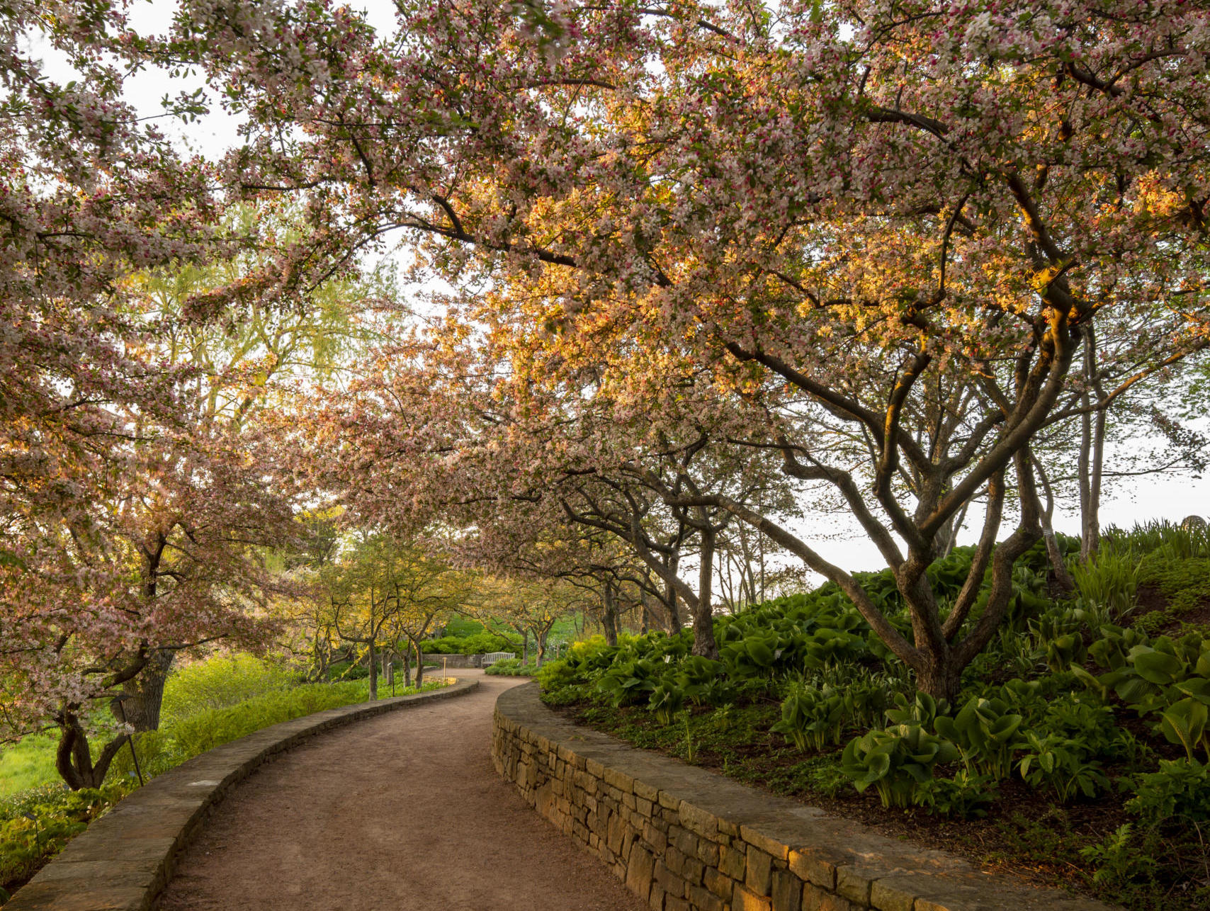 Chicago Fall Colors: Best Spots to See Foliage