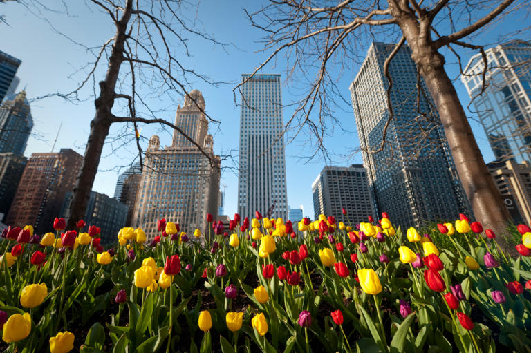 Where to see spring flowers in Chicago | Choose Chicago