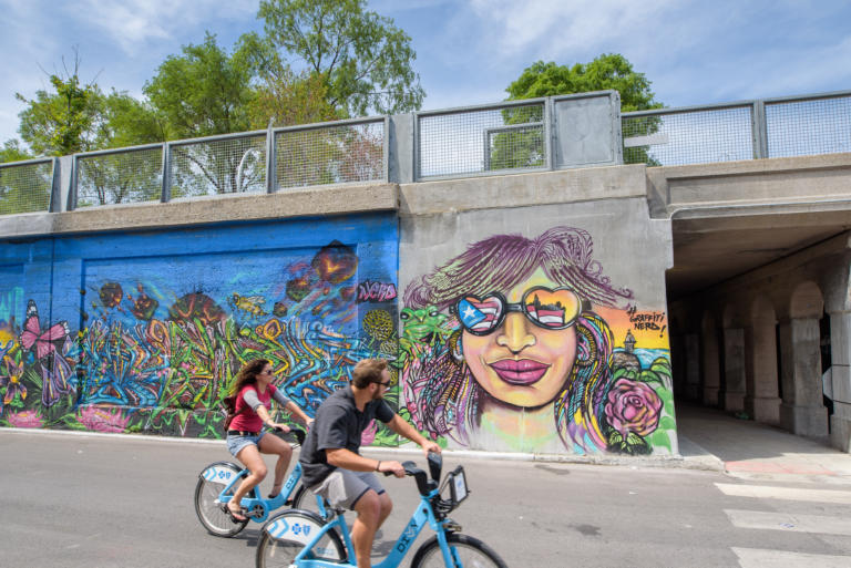 Explore the 606 Elevated Park & Trail in Chicago