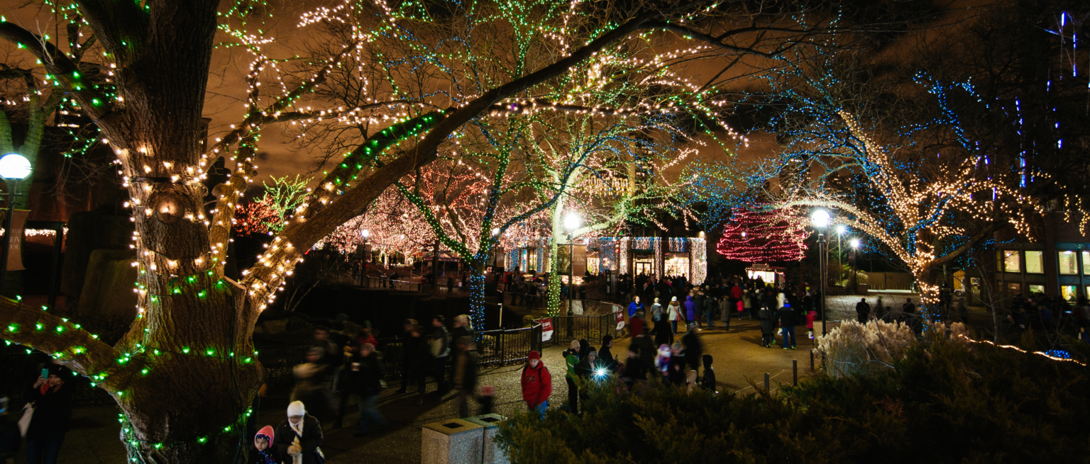 Things To Do In Chicago This Weekend | Live Music & Shows | Choose Chicago