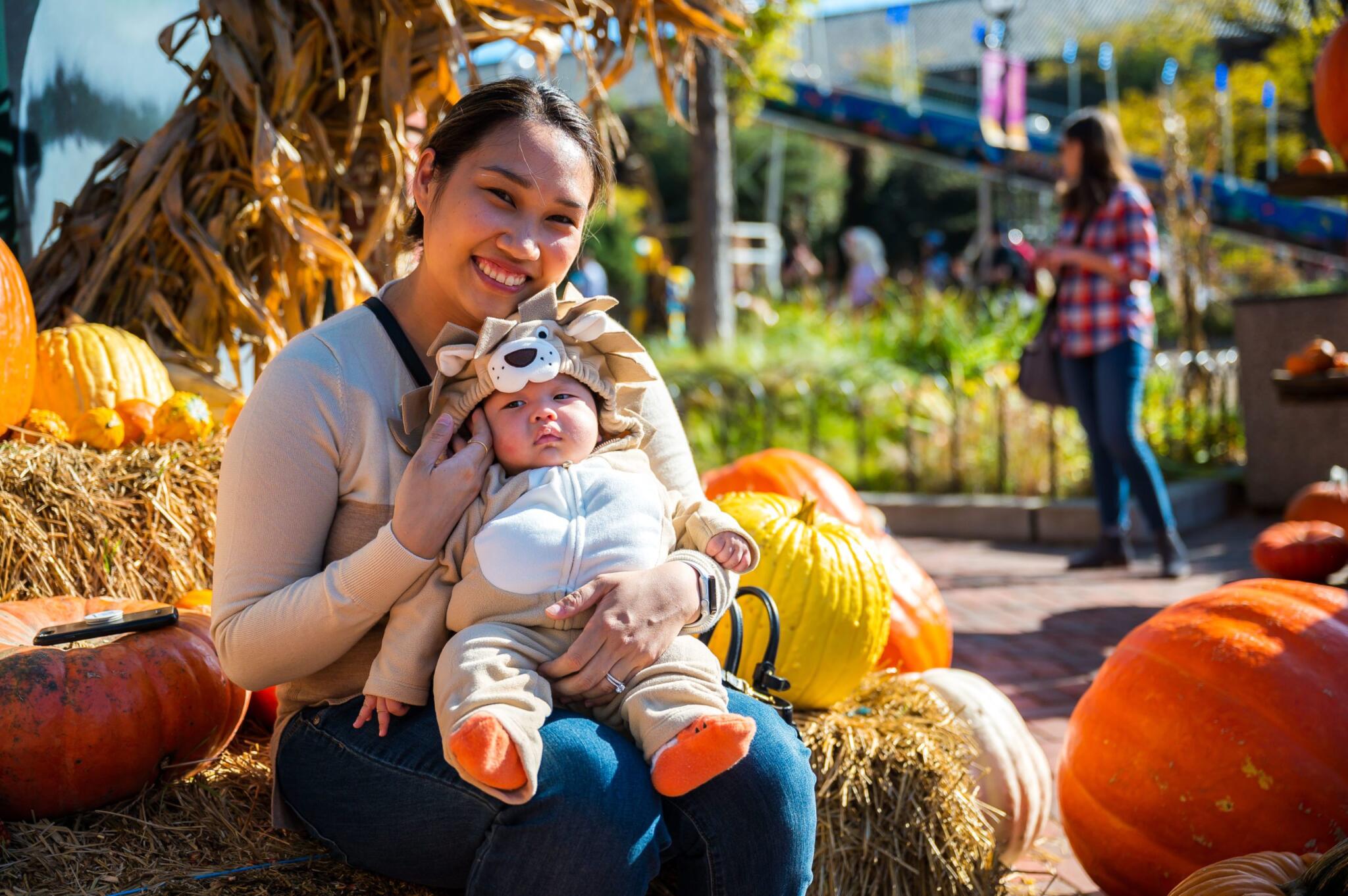 10 Free Things To Do In Chicago This Month | Events & Activities ...