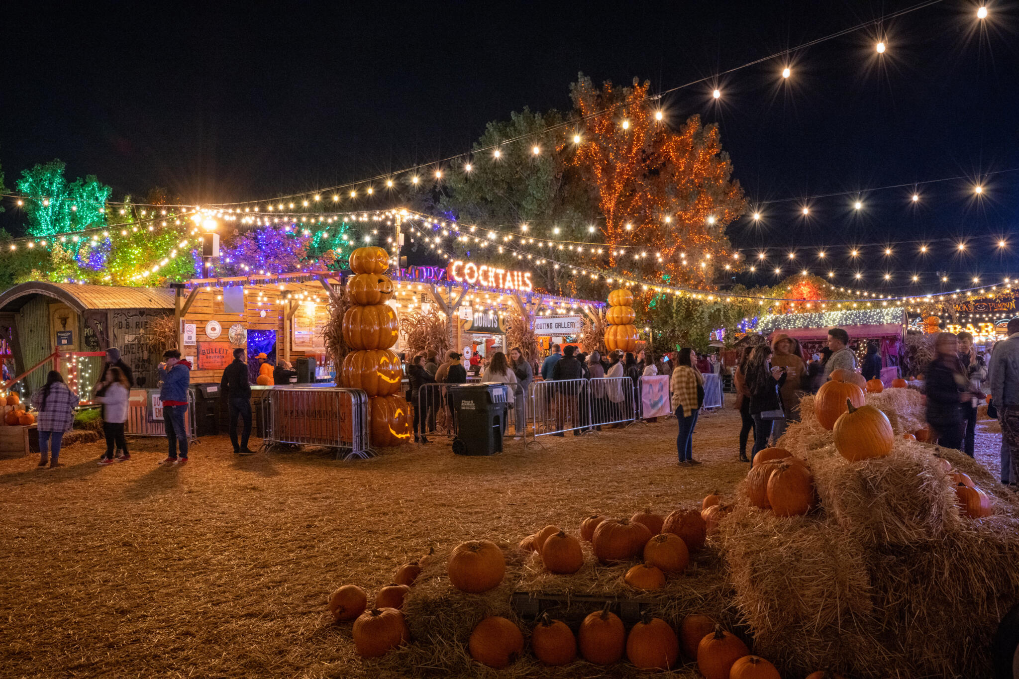 Fall Activities & Things to Do in Chicago | Choose Chicago