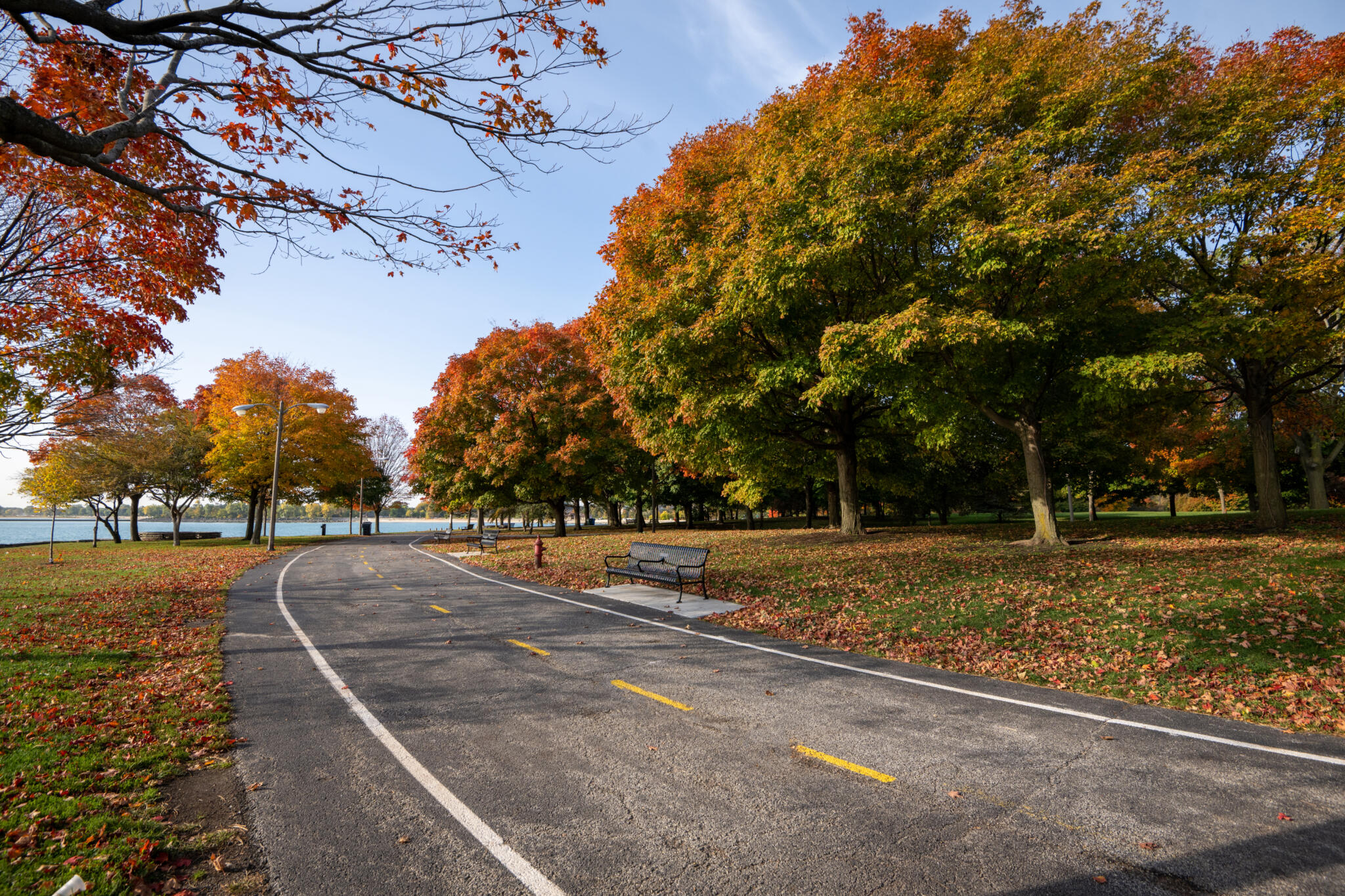 Chicago Fall Colors: Best Spots to See Foliage