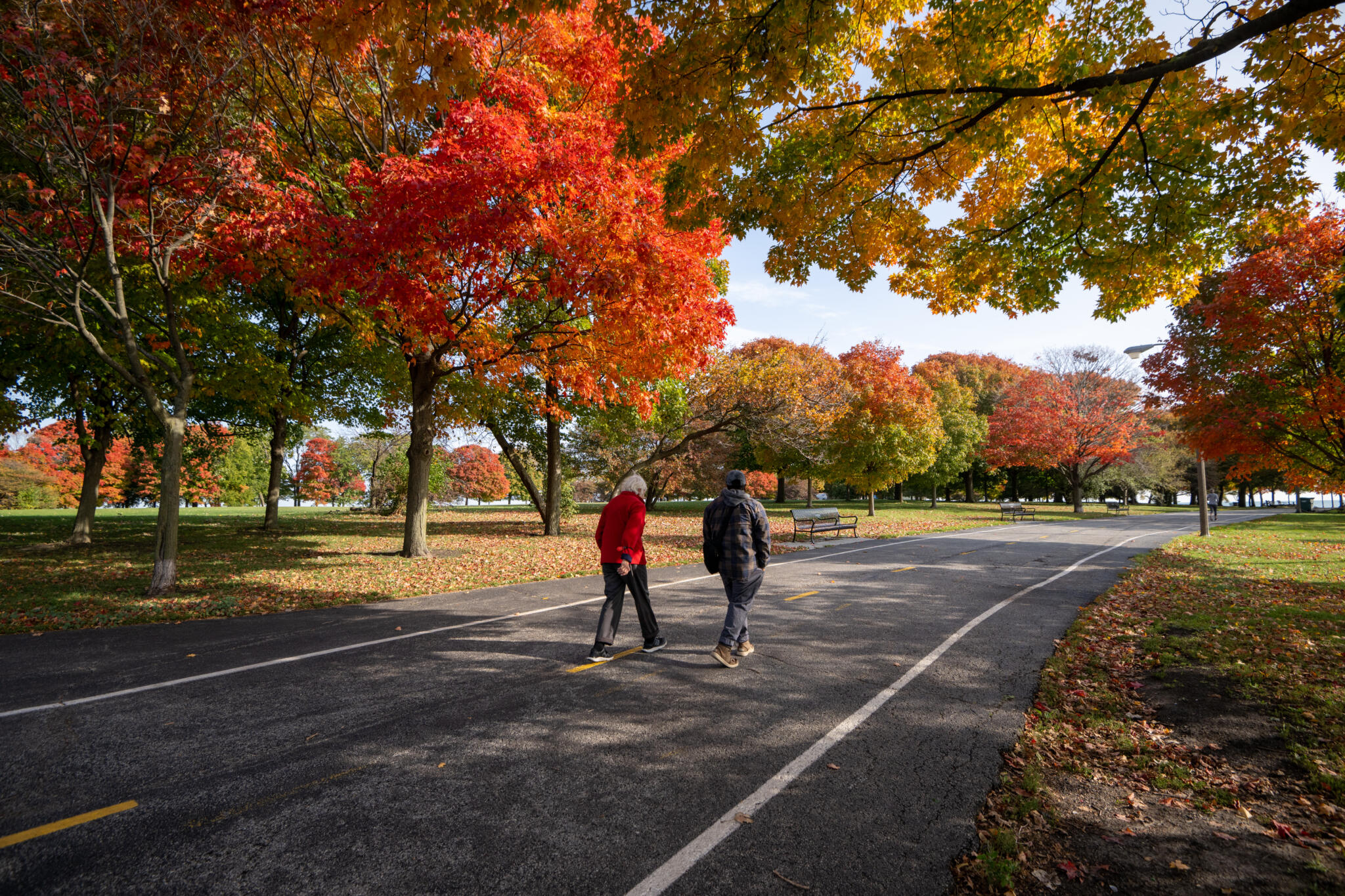 Where to see fall colors in and around Chicago | Choose Chicago
