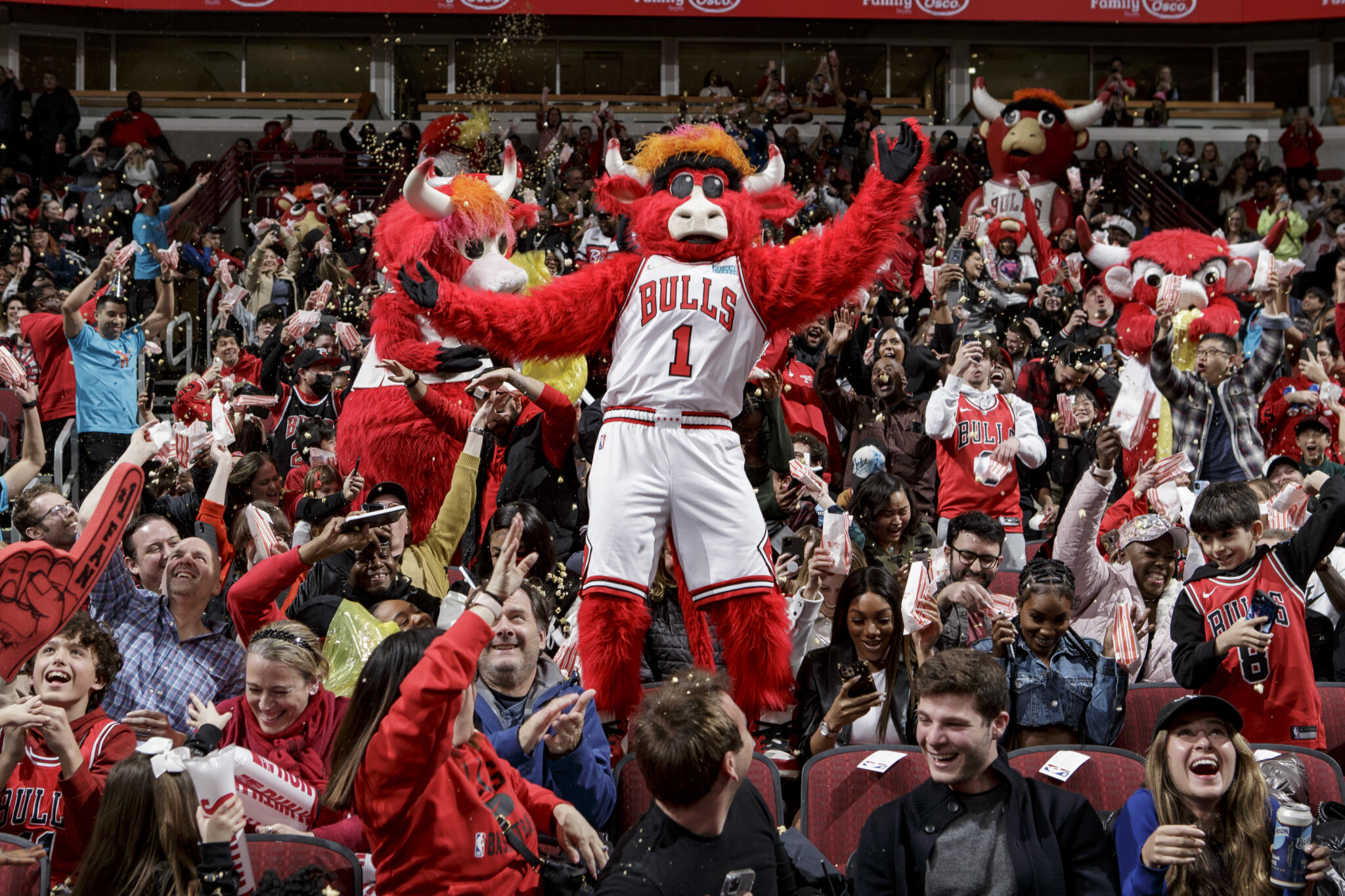 Chicago Sports Teams Guide | Basketball, Hockey, Football & Baseball