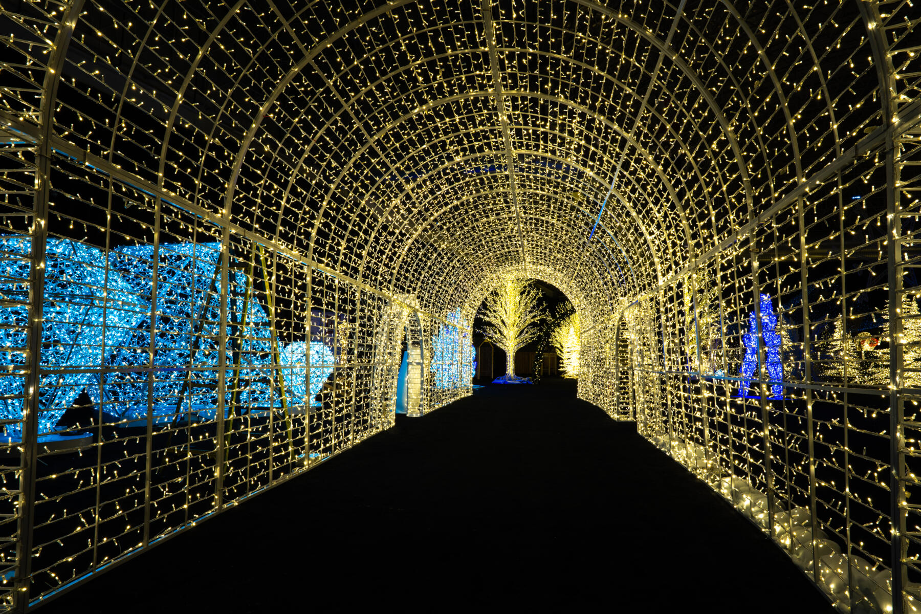 Best Spots for Christmas Lights in Chicago | Holiday Light Shows & Events