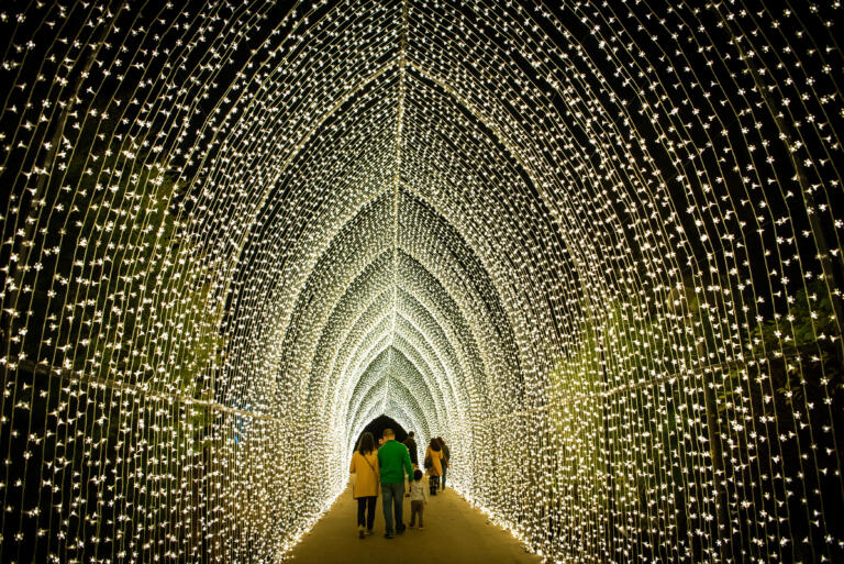 Top Christmas Lights in Chicago: Must-See Spots