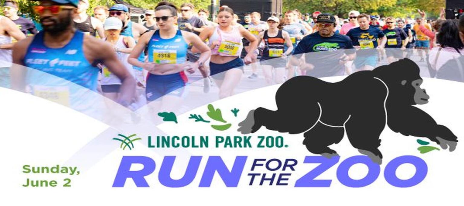 Run for the Zoo | 06/02/2024 | Choose Chicago