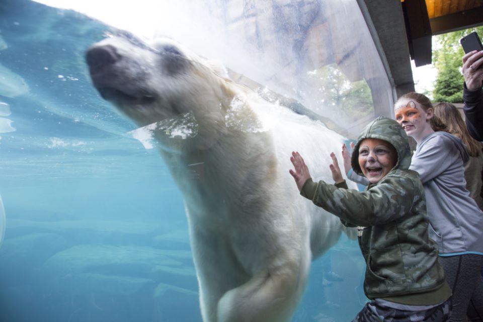 Explore Chicago’s free Lincoln Park Zoo | Choose Chicago