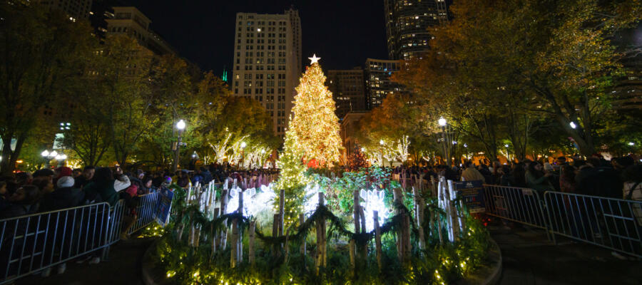 City of Chicago Christmas Tree | 11/22/2024 | Choose Chicago
