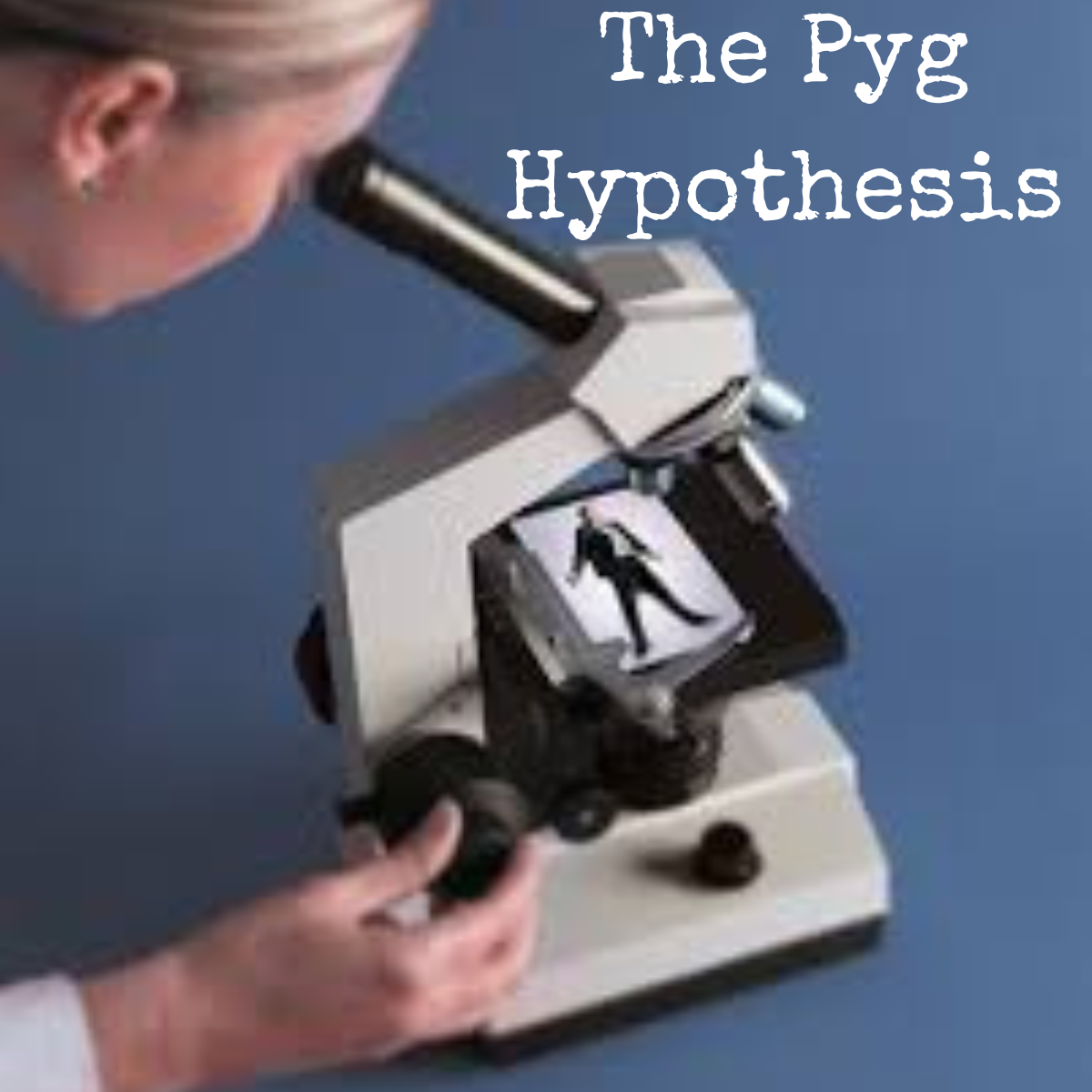The Pyg Hypothesis | 02/16/2025 | Choose Chicago