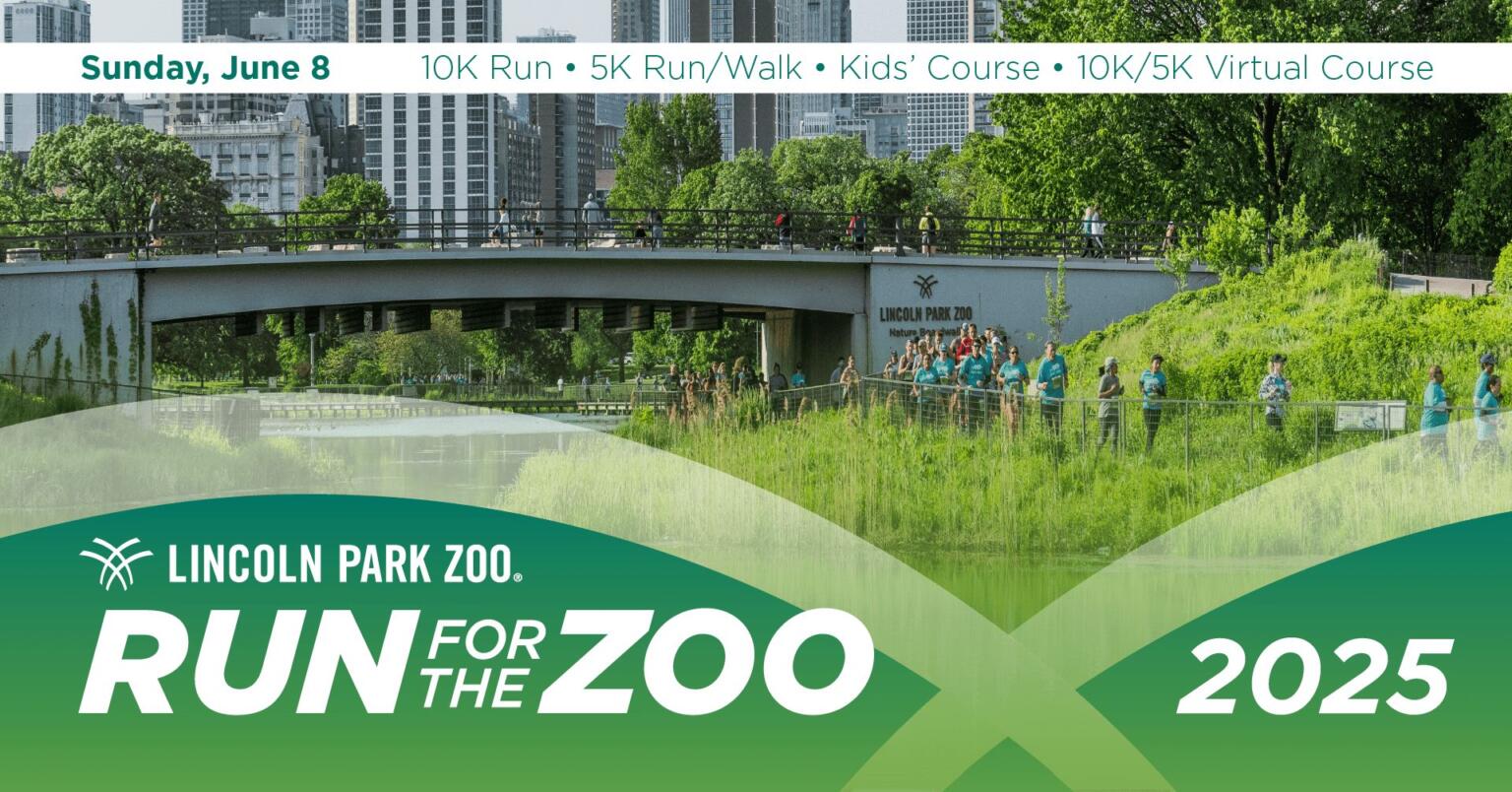 Run for the Zoo | 06/08/2025 | Choose Chicago