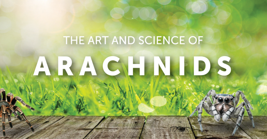 The Art and Science of Arachnids | Choose Chicago